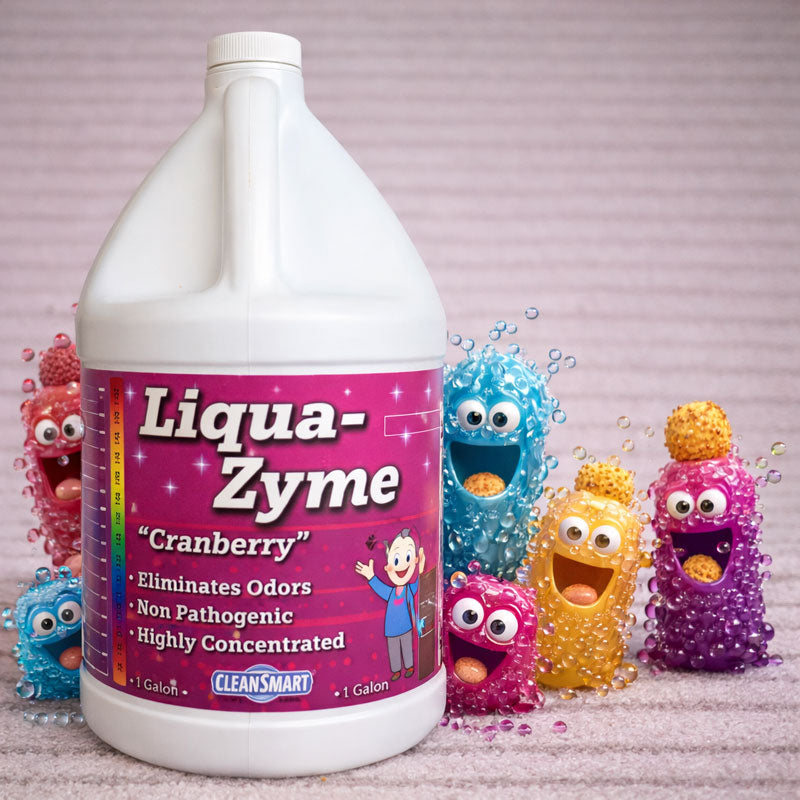 Enzyme Carpet Cleaner | Liqua-Zyme Cranberry – Cleansmart Technologies